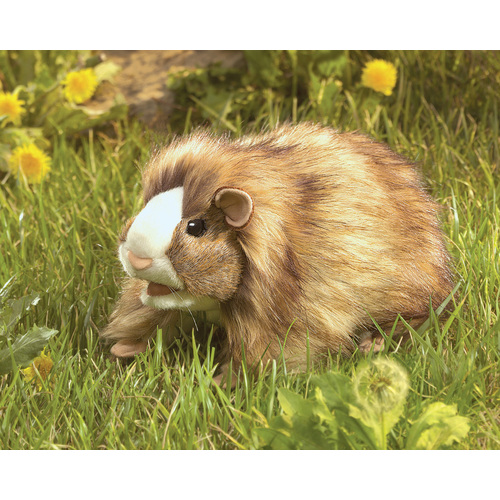 Buy Folkmanis - Guinea Pig Puppet